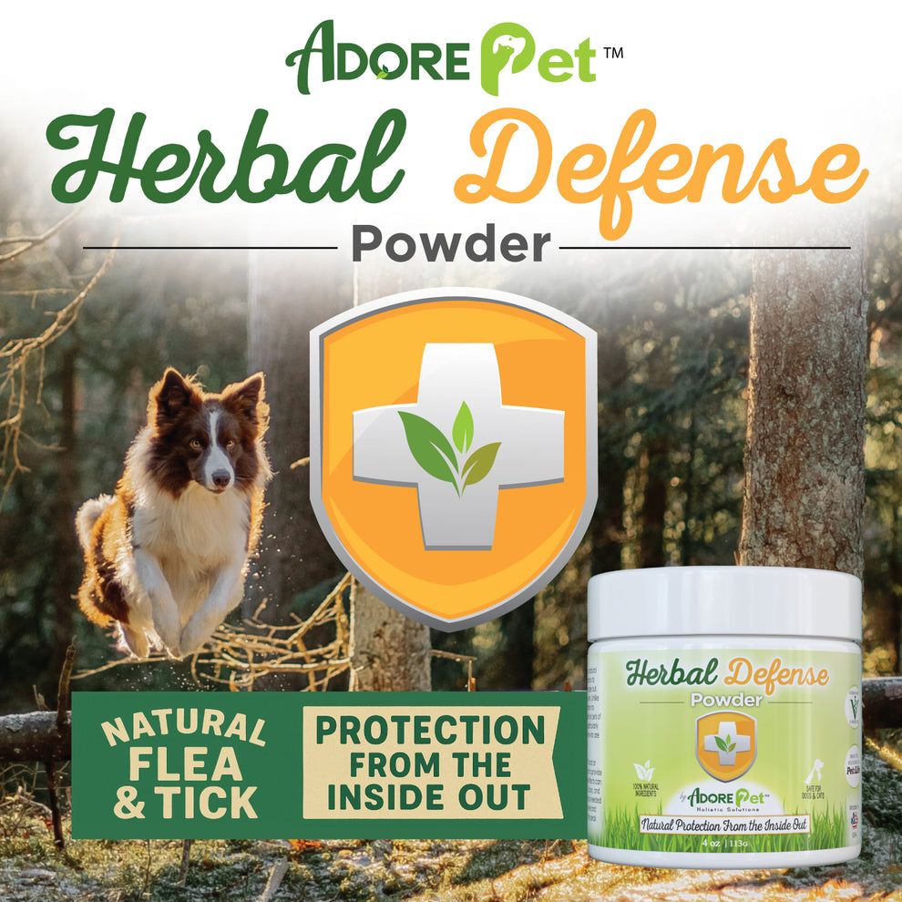 Herbal Defense Powder – Adore Pet