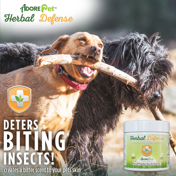Herbal Defense Powder – Adore Pet