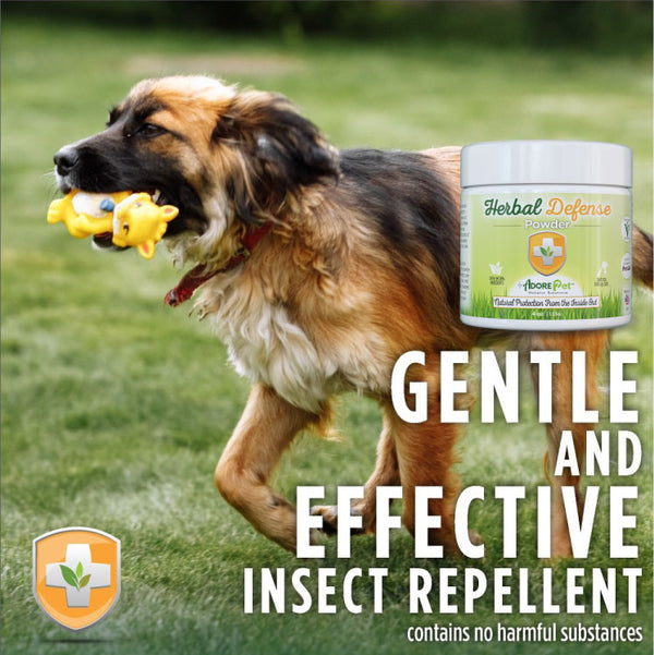 Herbal Defense Powder – Adore Pet